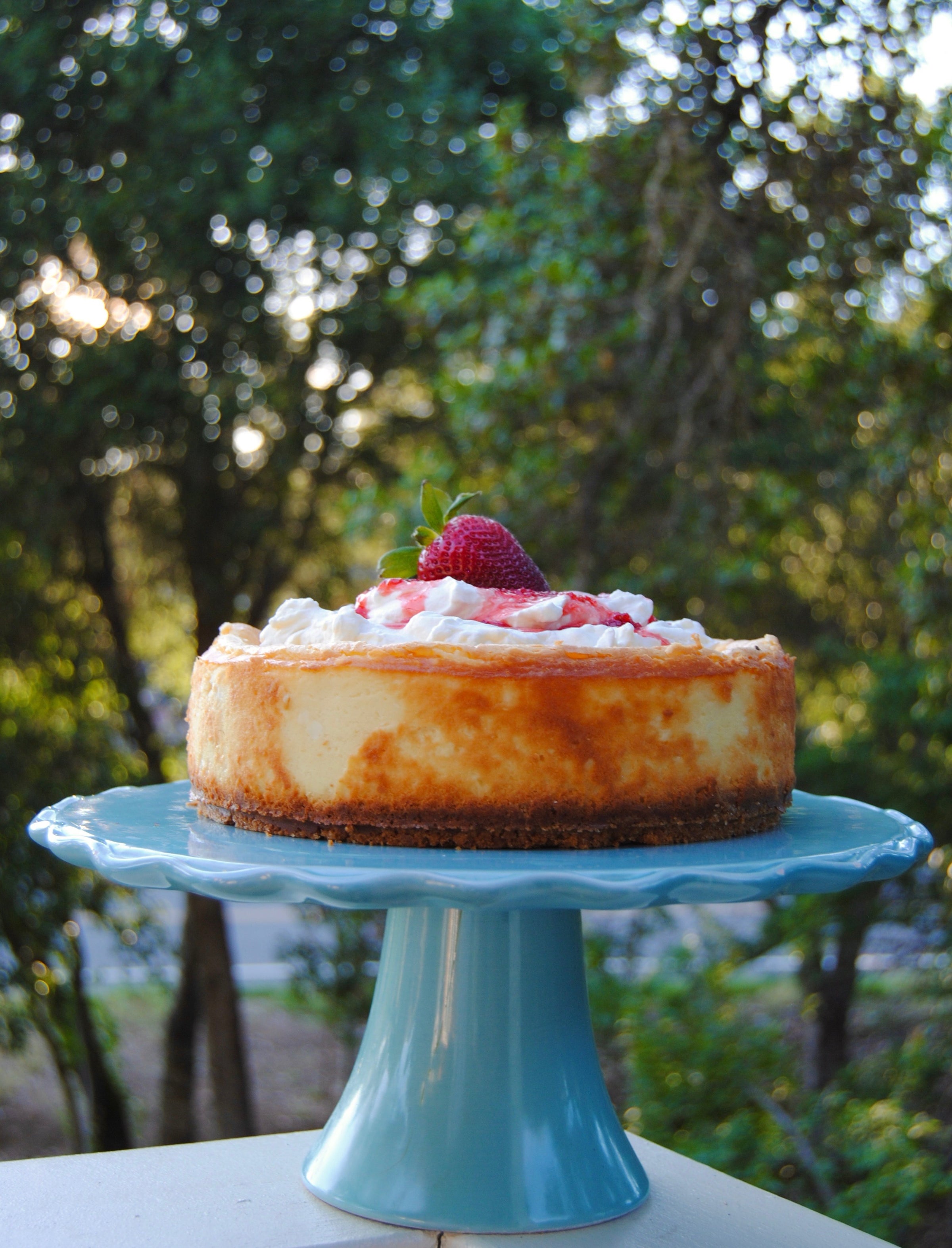 Home | College Confectionista