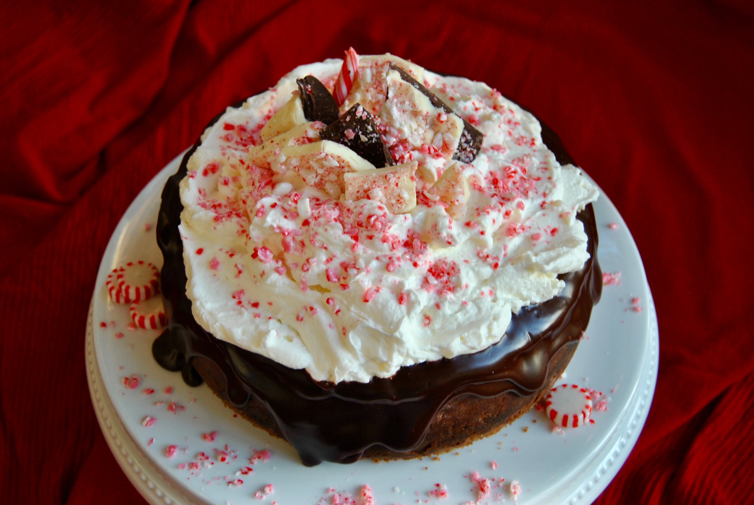 Home | College Confectionista